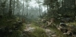 Megascans - Forest Path in Materials - UE Marketplace
