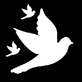 Flocking Behaviour System Ideal For Simulation Of Birds Fish Bees