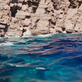 Ocean System for Rendered Cinematics